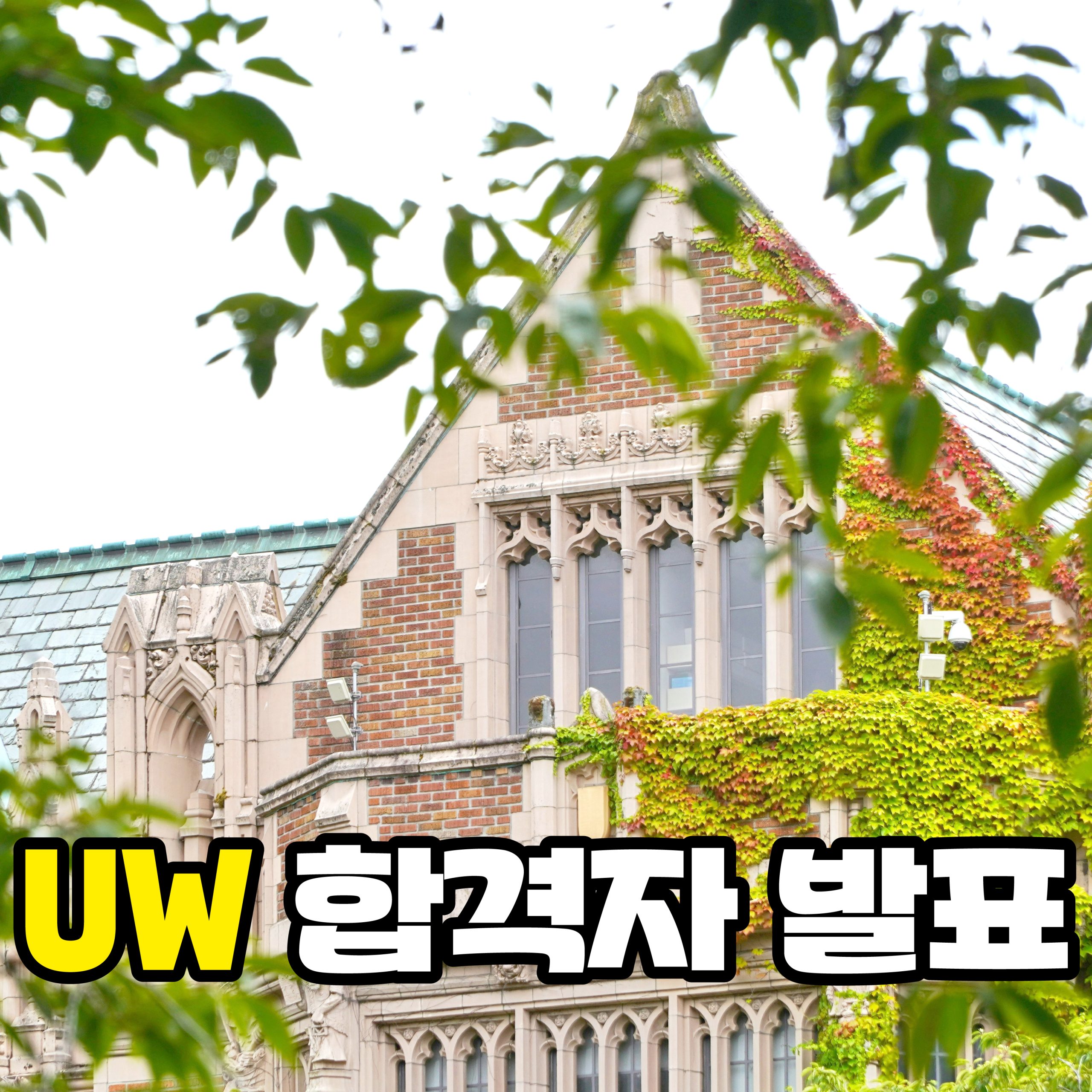 UW 합격자 발표 - WowSeattle Seattle KCR