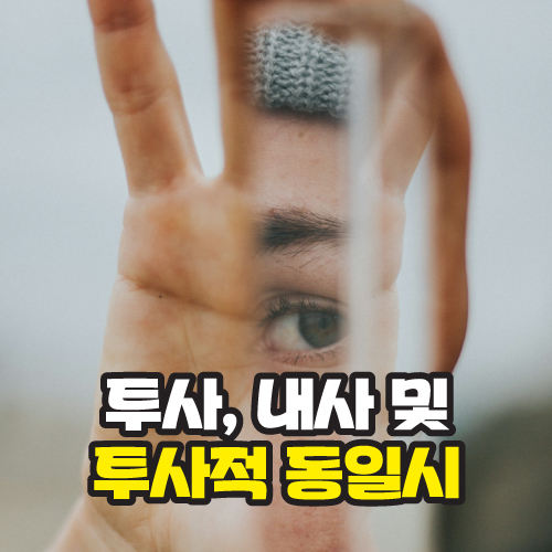 투사, 내사 및 투사적 동일시 Projection, Introjection, and Projective ...